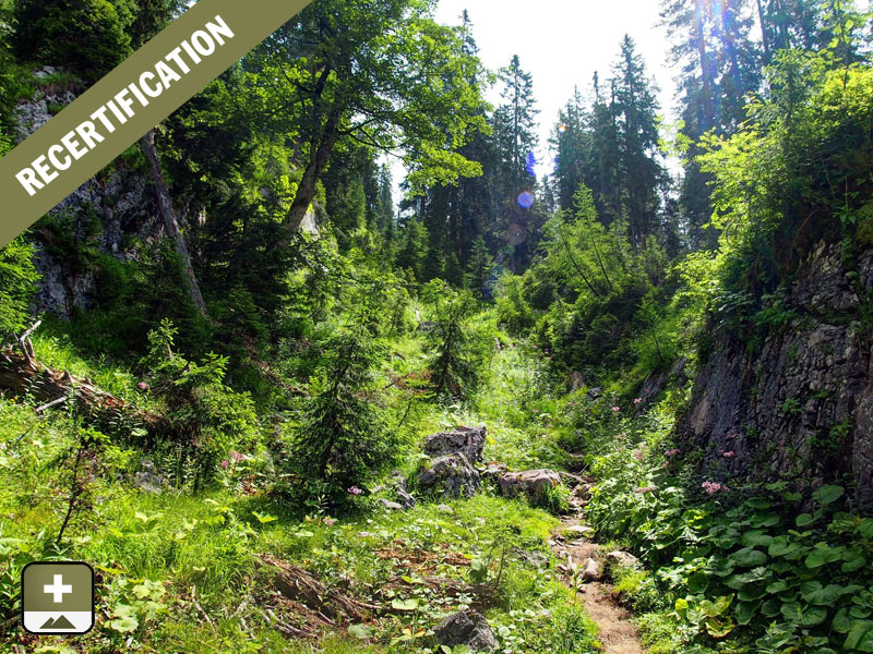 Index of /courseimages/